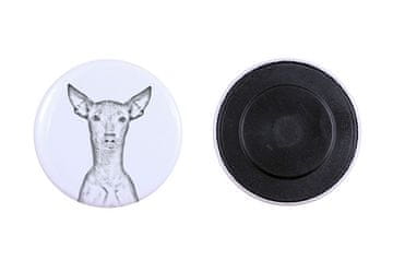 Artdog Goli perujski pes, goli inkovski pes - magnet s pasjim ...