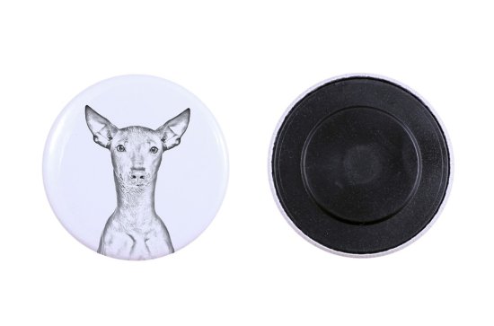 Artdog Goli perujski pes, goli inkovski pes - magnet s pasjim ...