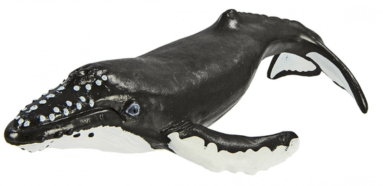 Safari Ltd. Kit grbavec | mimovrste=)