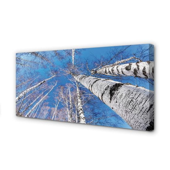 tulup.si Slika na platnu Breza nebo | mimovrste=)