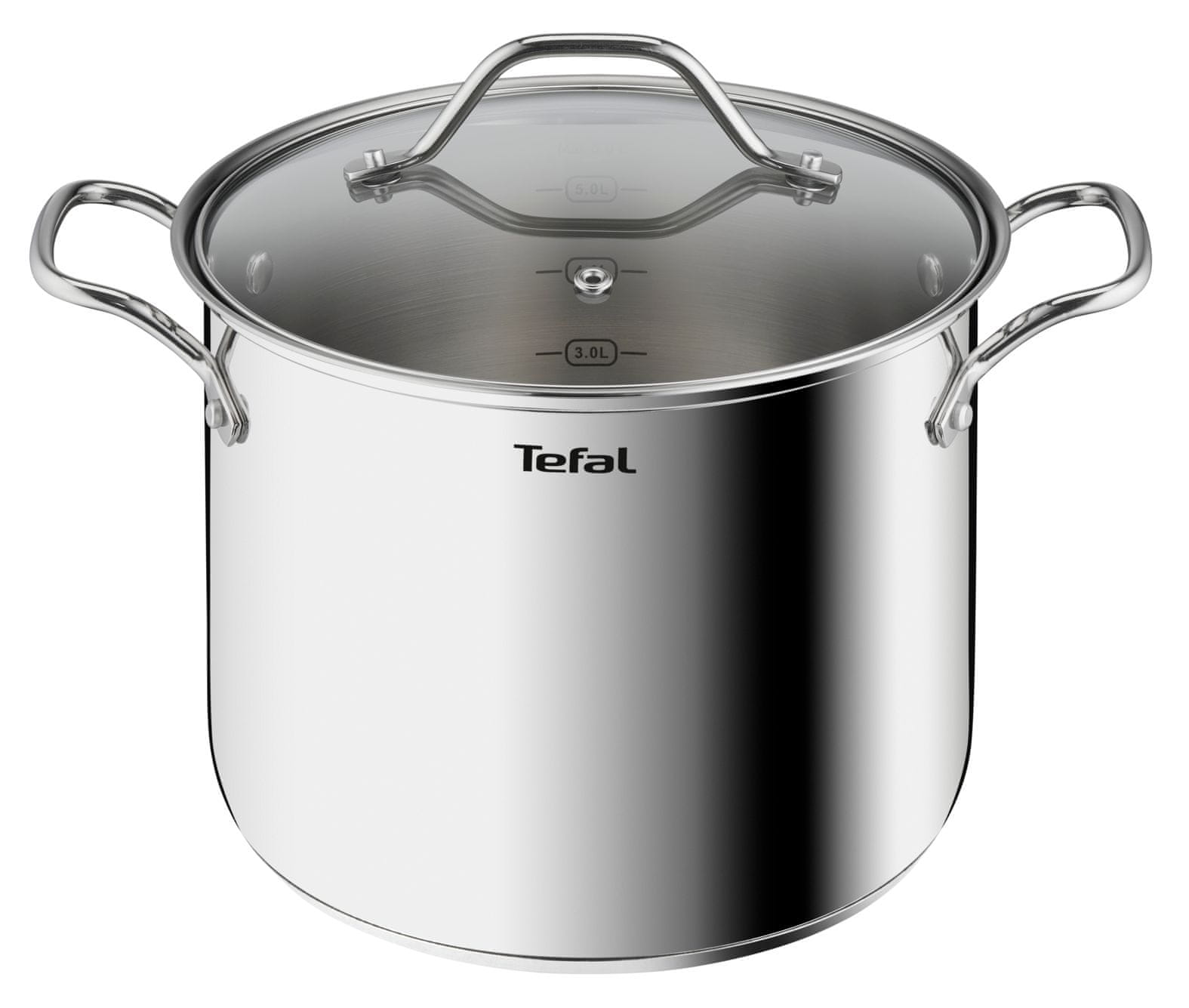 Tefal lonec za testenine Intuition, visok, s pokrovom, 22 cm (B8646174 ...