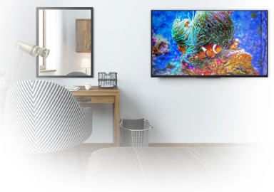 B-Tech BT8441 stenski nosilec, univerzalni, do 55, črn (BT8441/B ...